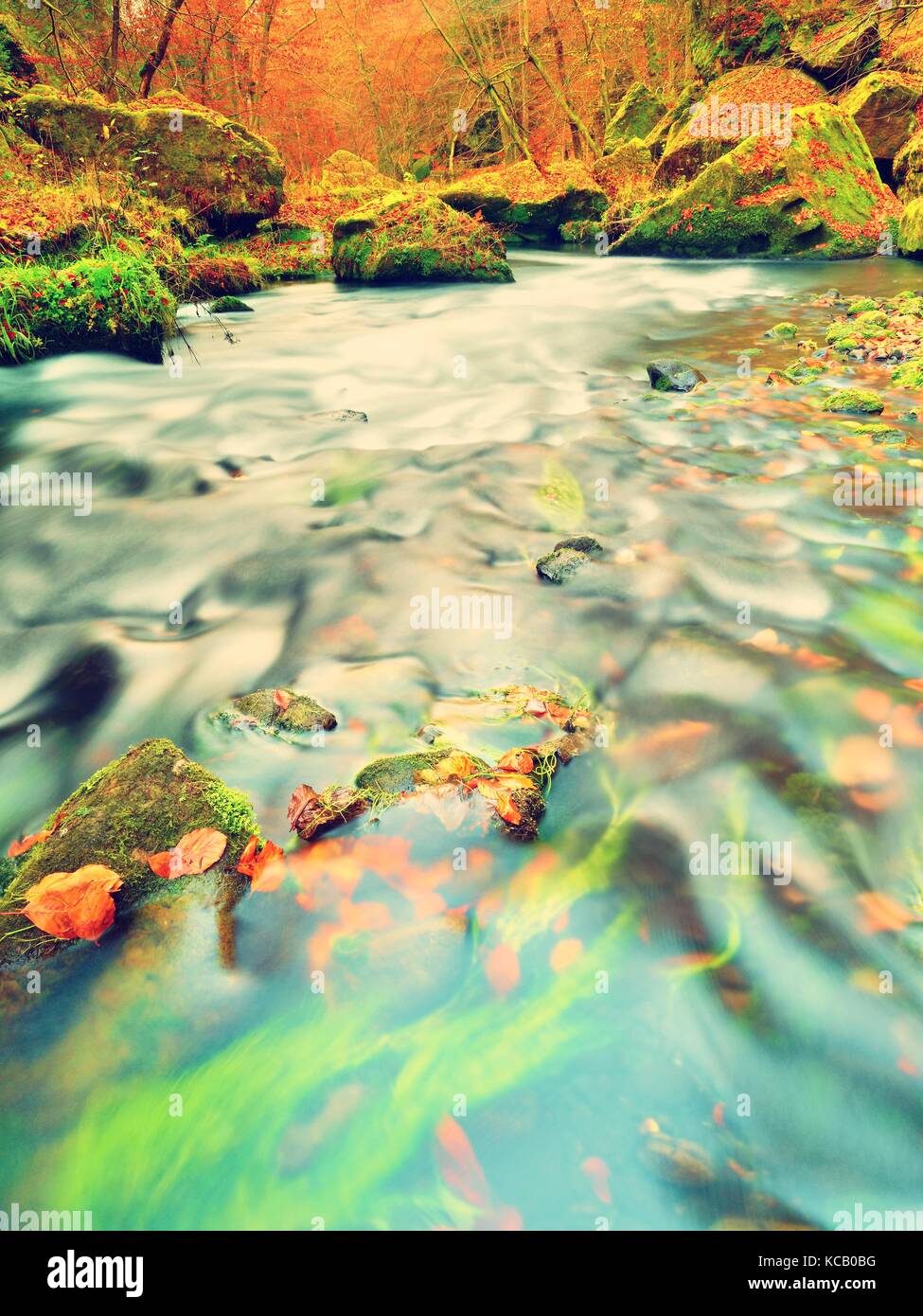 Fall in nature. Colors of autumn mountain river. Colorful gravel with ...