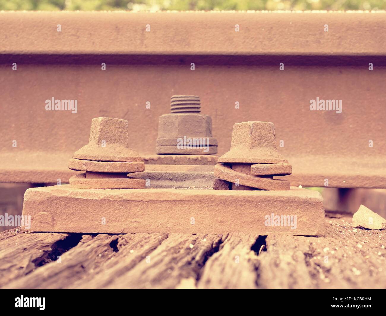 Detail of rusty screws and nut on old railroad track. Rotten wooden tie ...
