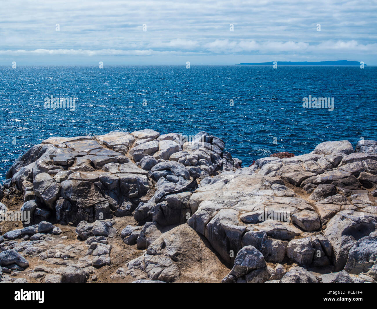 Cliffs and outcrops on South Plaza - Galapagos, Ecuador Stock Photo - Alamy