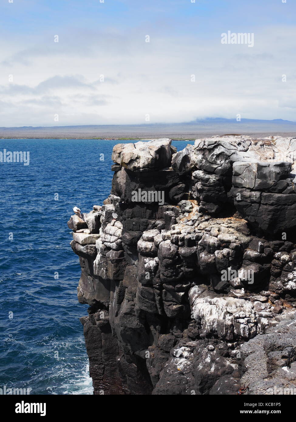 Cliffs and outcrops on South Plaza - Galapagos, Ecuador Stock Photo - Alamy