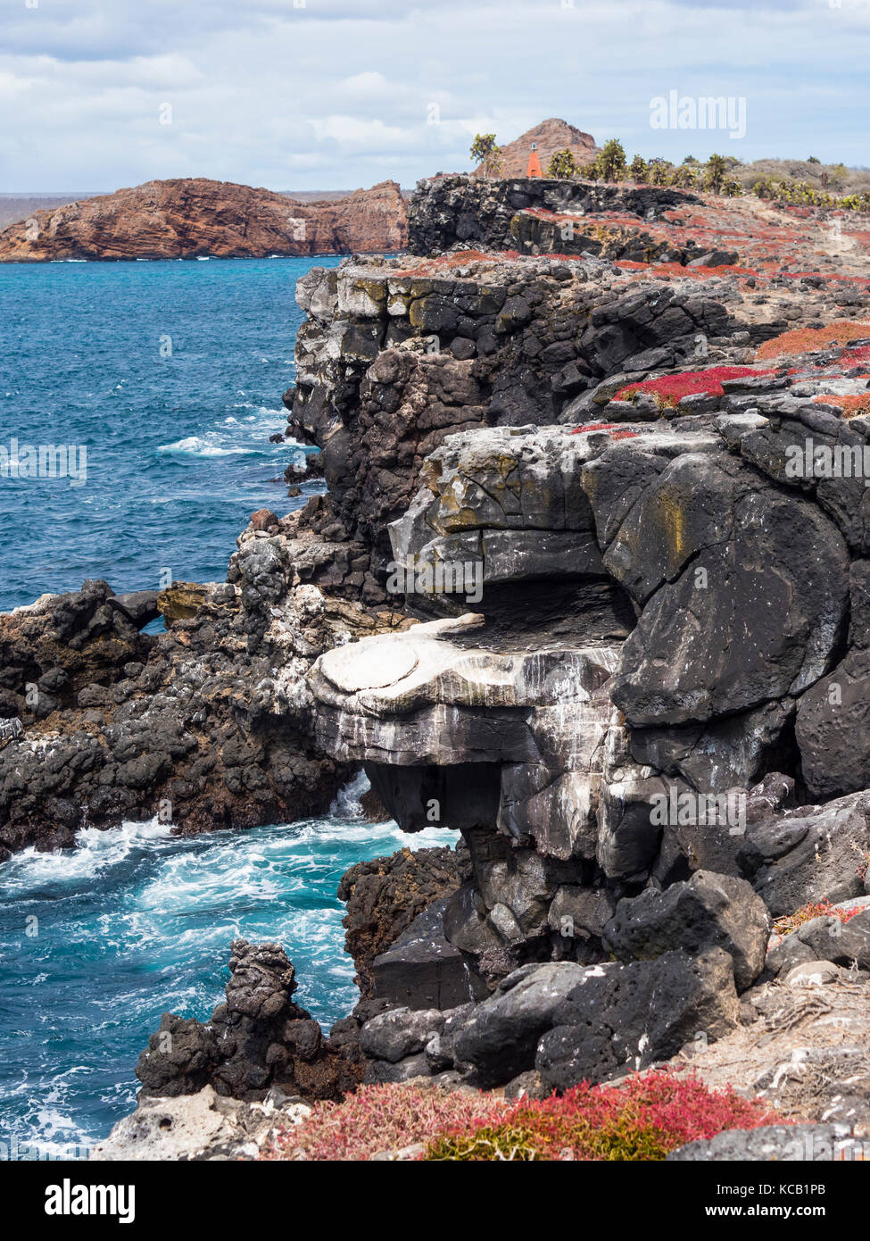 Cliffs and outcrops on South Plaza - Galapagos, Ecuador Stock Photo - Alamy