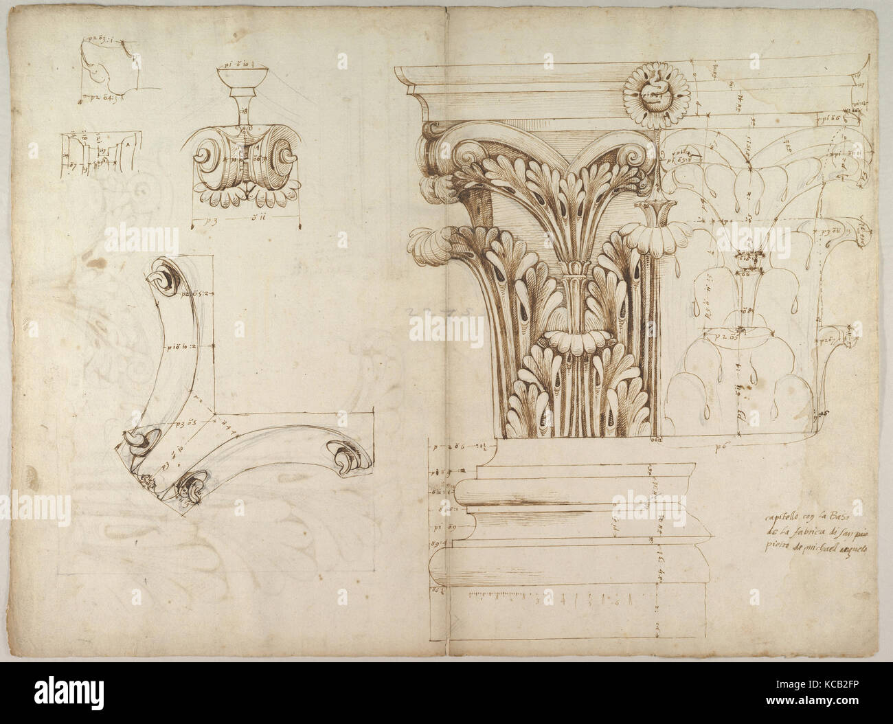St. Peter's, Corinthian capital, elevation; base, elevation; volute ...