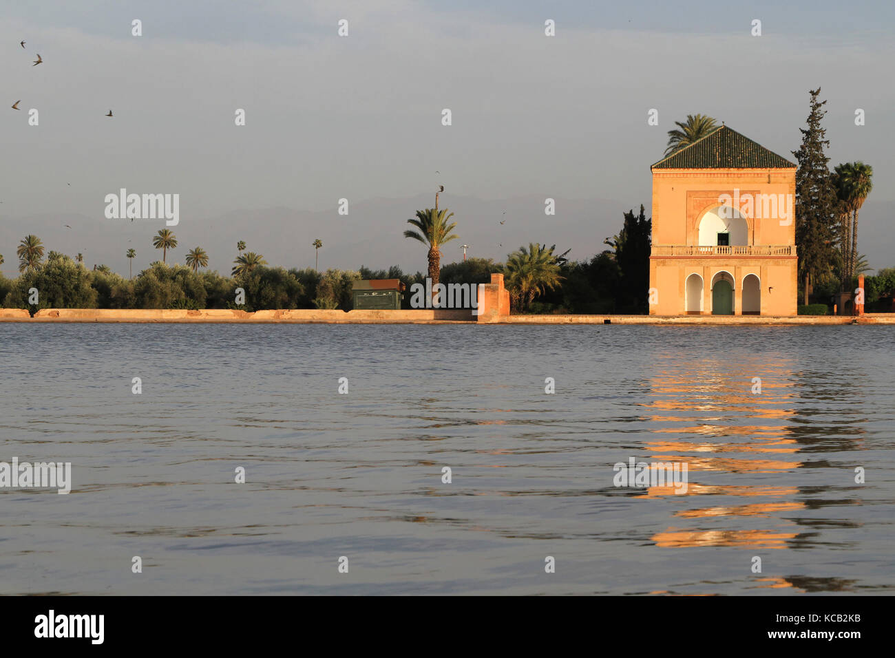 Gardens of La Menara in Marrakech at sunset Stock Photo - Alamy