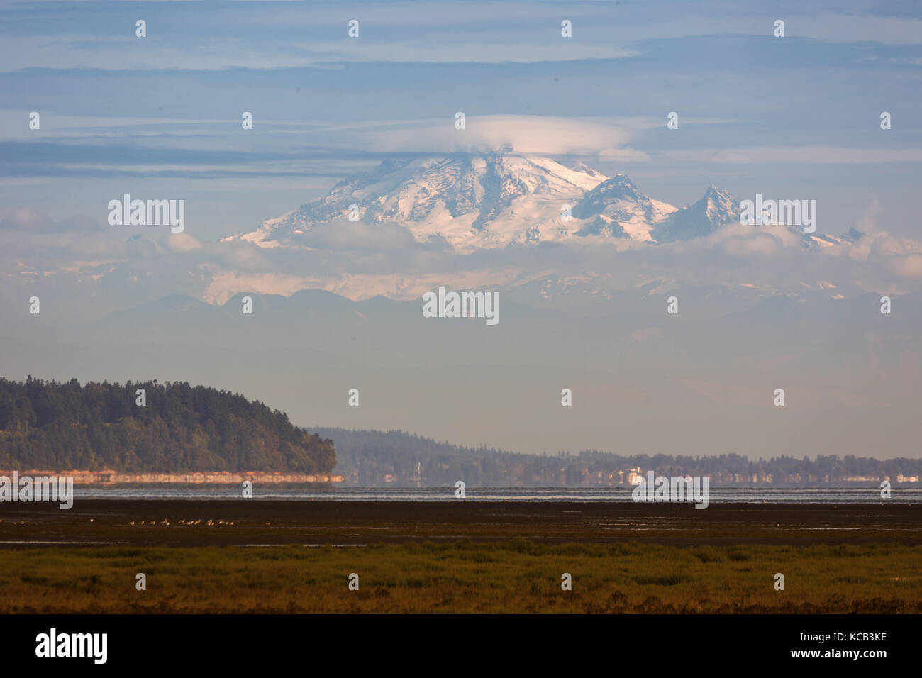 Mt Baker look from Boundary bay at Delta BC Canada Stock Photo - Alamy