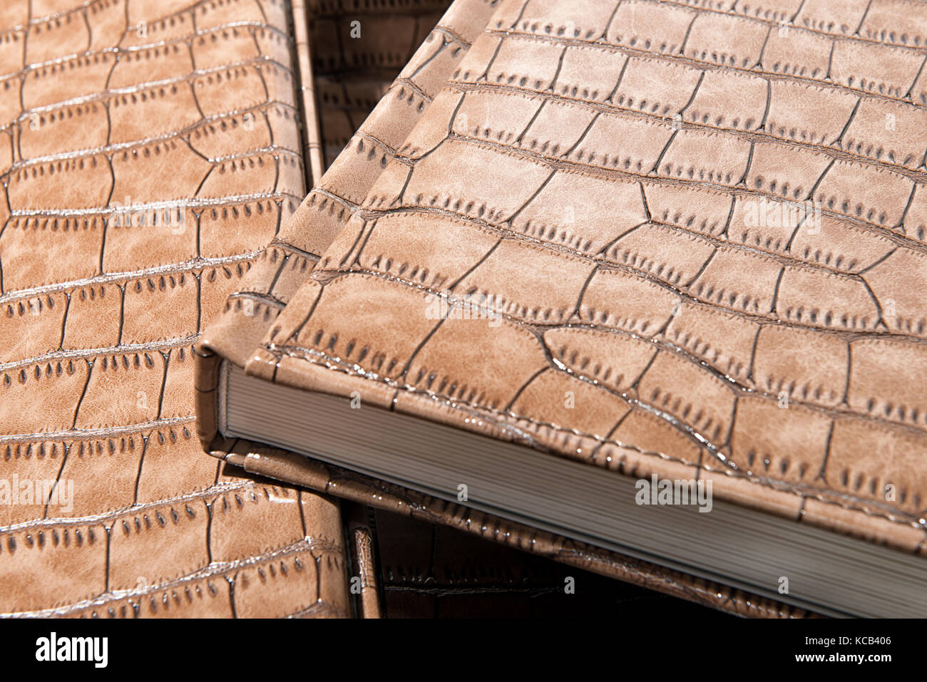 the spine of the book close-up on a light background Stock Photo - Alamy