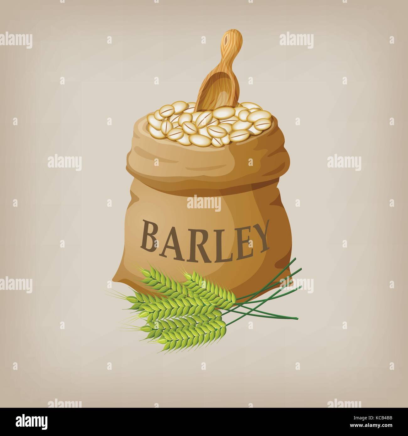 Barley vegetarian Stock Vector Images - Alamy