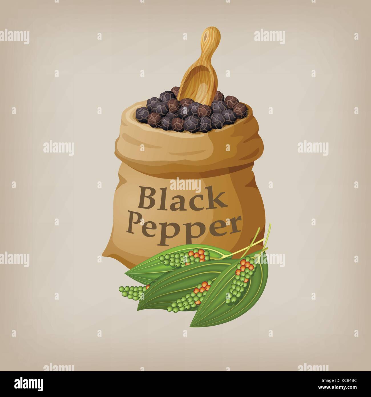 Black pepper corn in the bag. Vector illustration Stock Vector Image ...