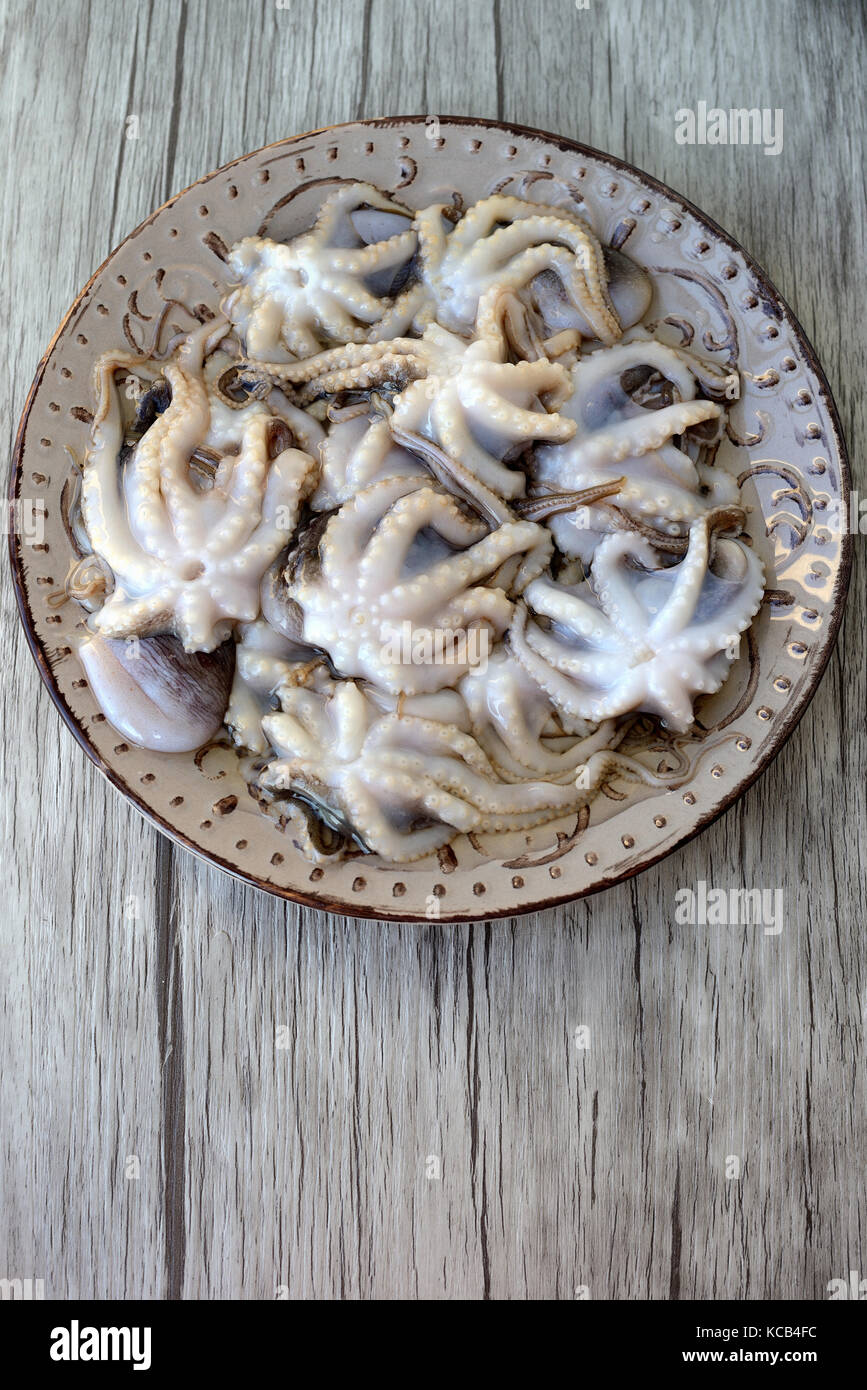 Animal preparation hi-res stock photography and images - Alamy