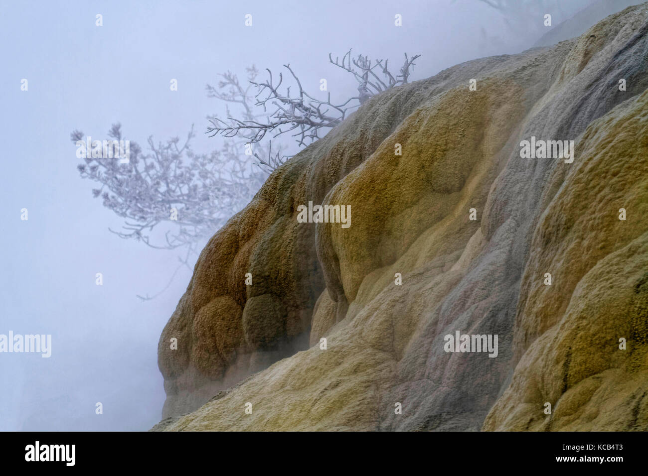 Lower terraces of Mammoth Hot Springs in the fog during winter ...
