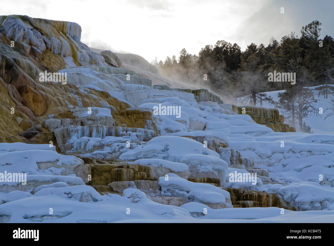 Lower terraces of Mammoth Hot Springs during winter, Yellowstone ...