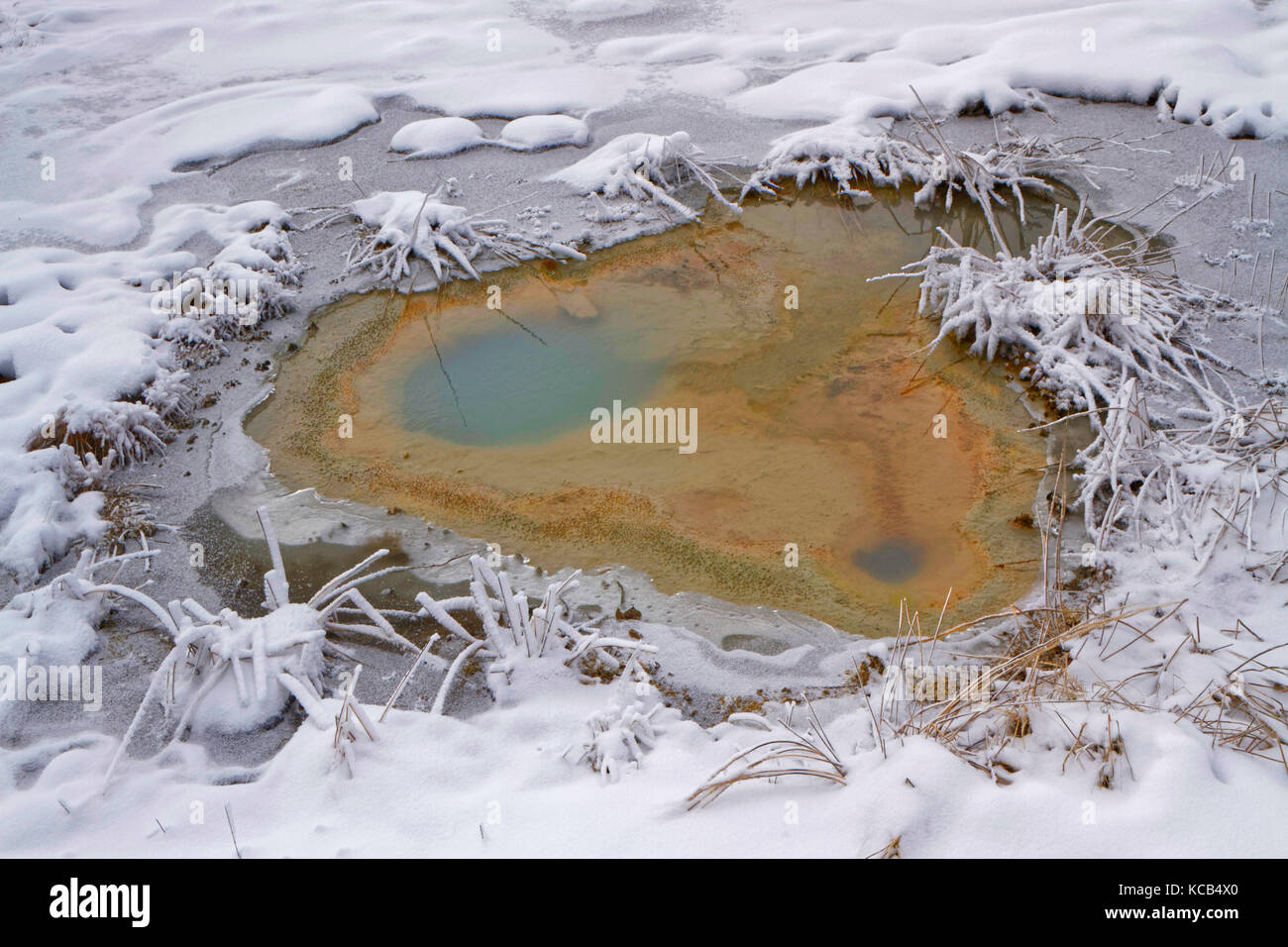Detail of geothermal features in Upper Odl Faithful Basin, Yellowstone ...