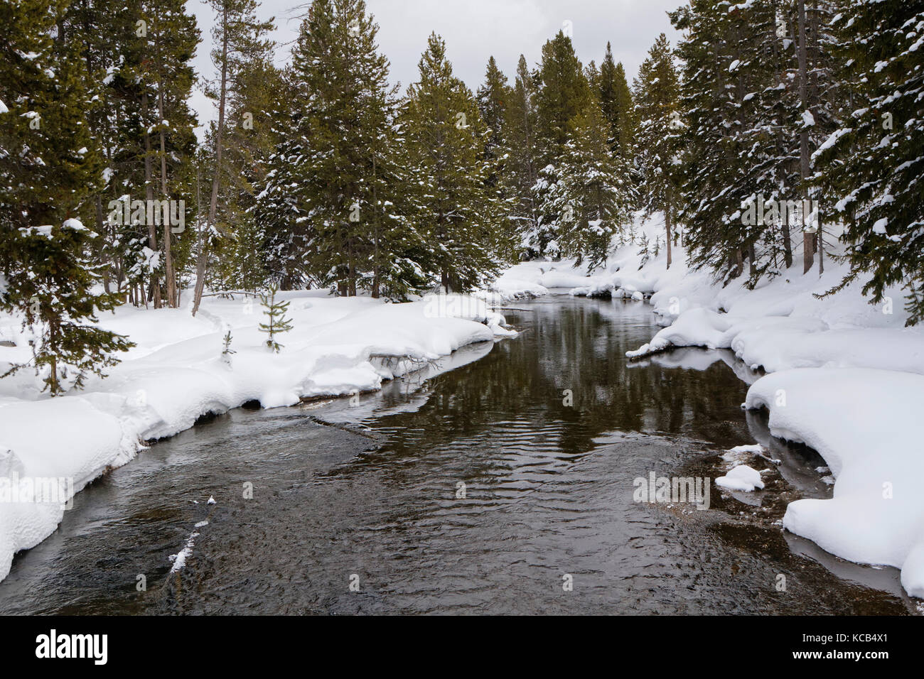 A river in winter Stock Photo - Alamy