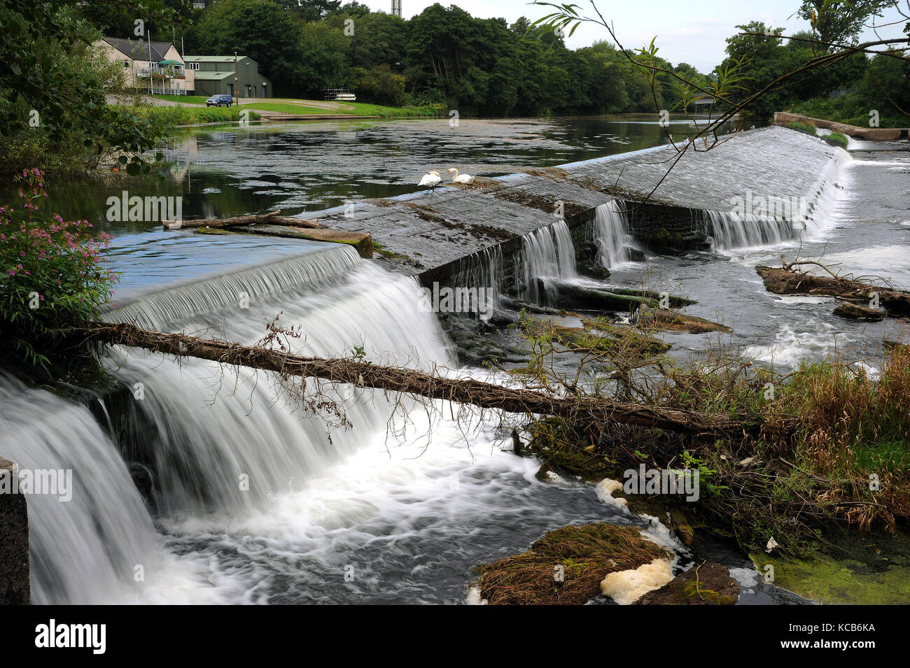 Llandaff Weir. River Taff Stock Photo - Alamy