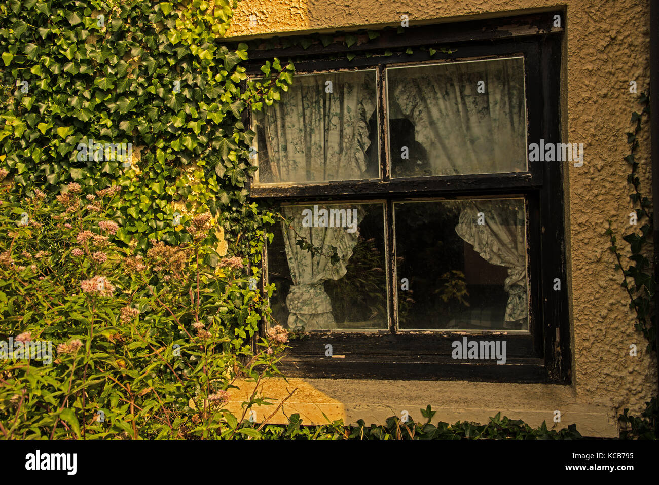 Property projects hi-res stock photography and images - Alamy