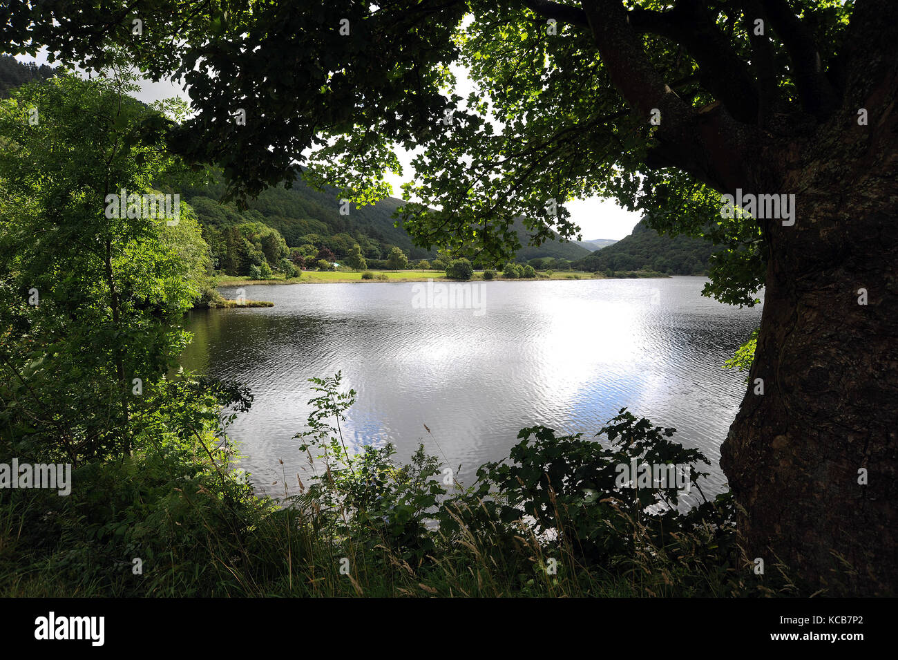 Cwm Rheidol Reservoir Stock Photo - Alamy
