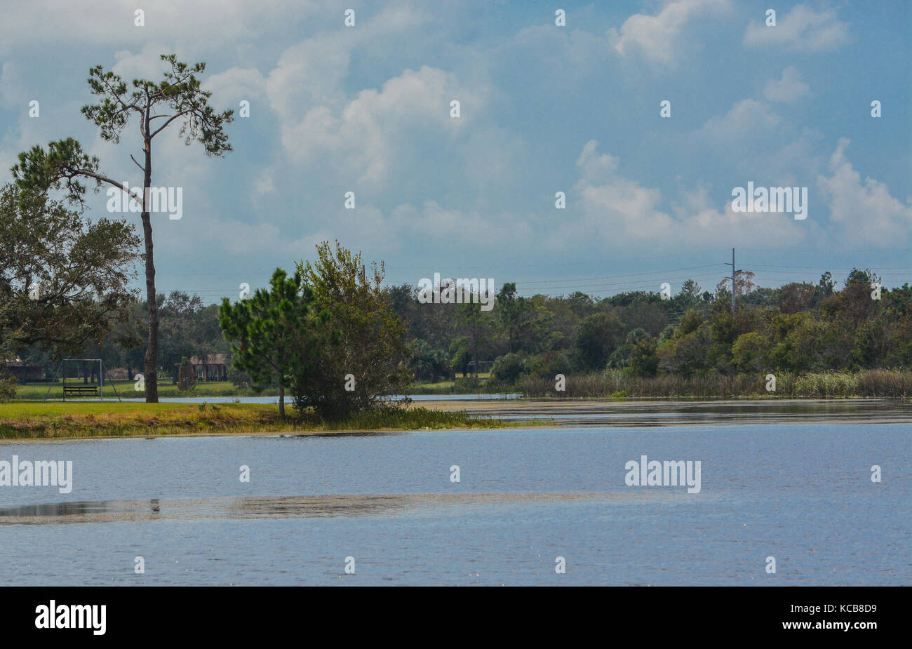 Title The view of Walsingham Lake at Walsingham Park Stock Photo - Alamy