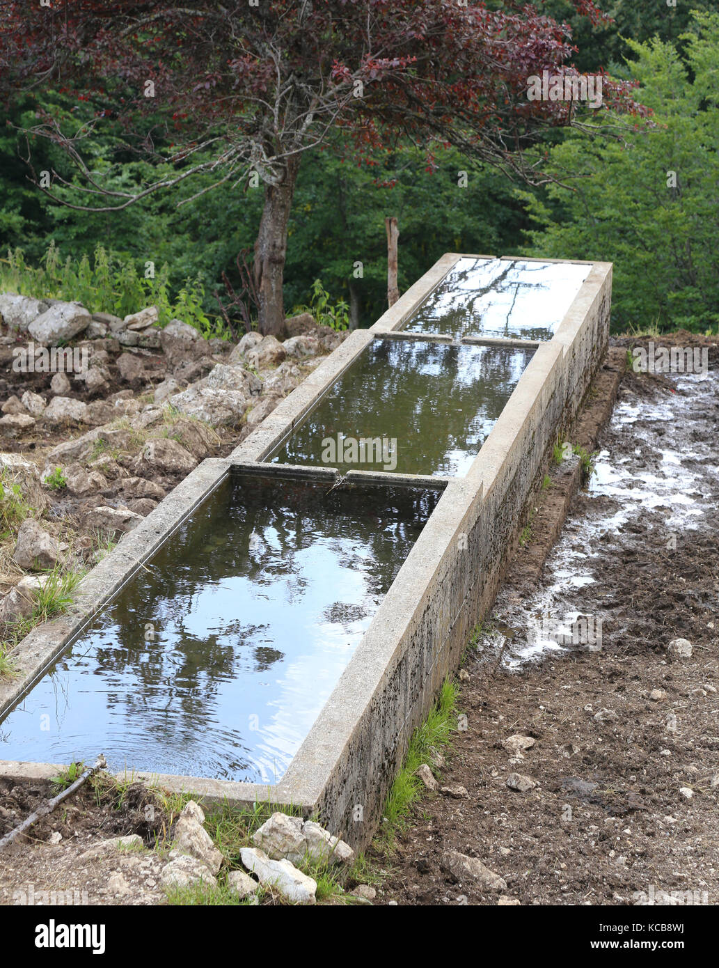 Livestock watering tank hi-res stock photography and images - Alamy