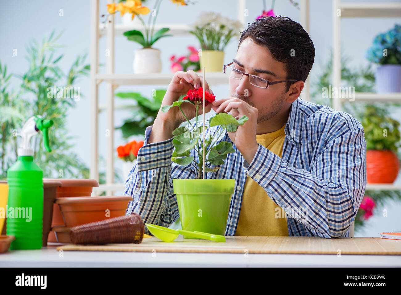 Young man florist working in a flower shop Stock Photo - Alamy