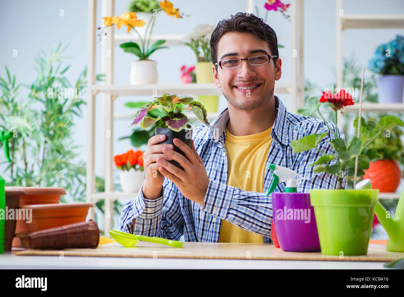 Young man florist working in a flower shop Stock Photo - Alamy