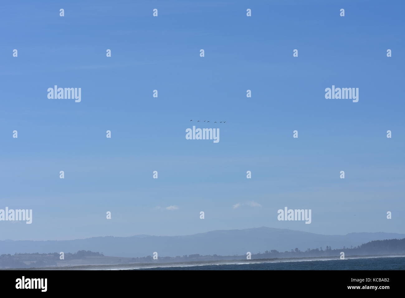 Flying water birds hi-res stock photography and images - Alamy