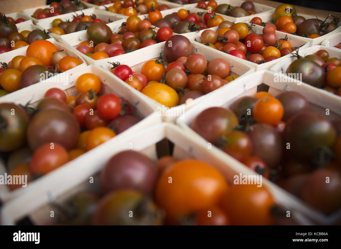 Individual Cherry Tomato High Resolution Stock Photography and Images ...