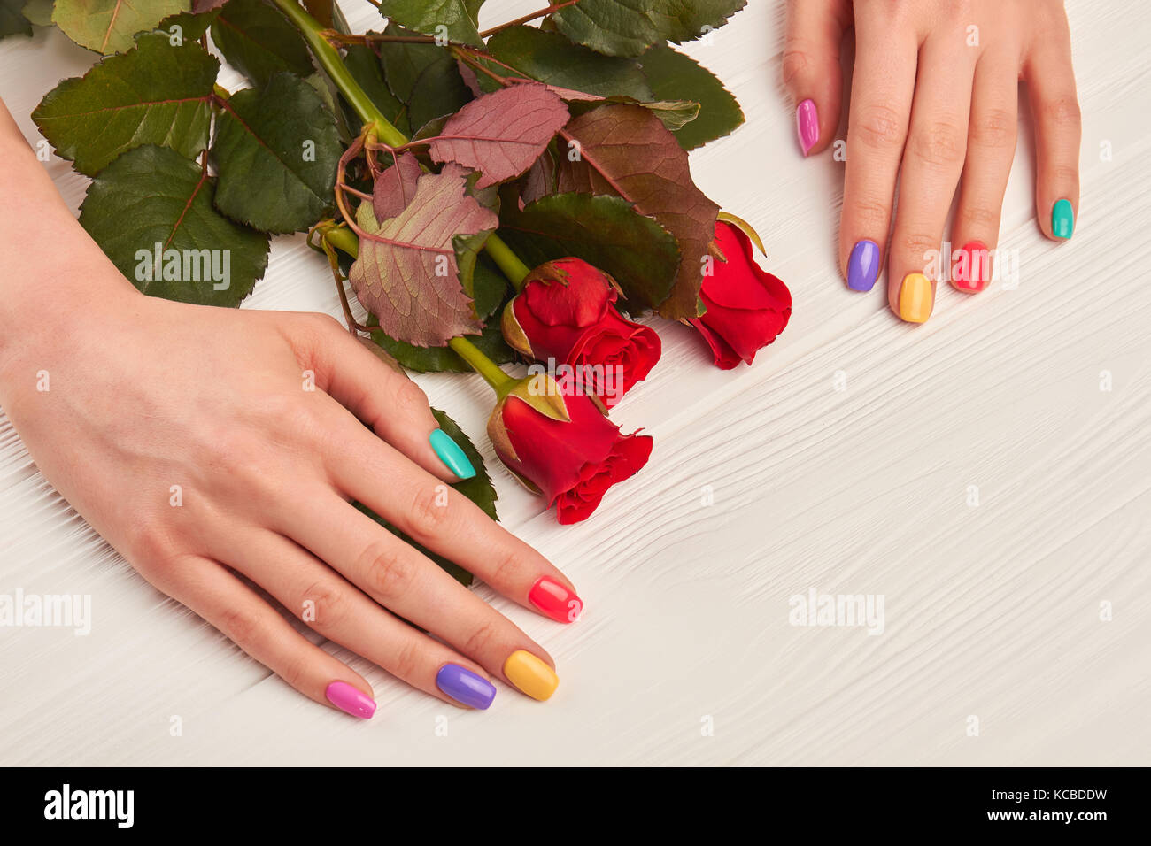 Manicured hands and red roses Stock Photo - Alamy