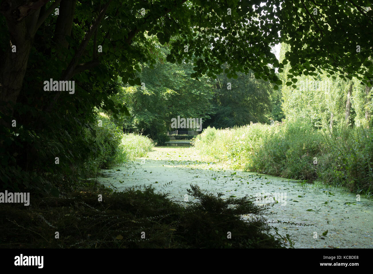 English country landscape of canal Stock Photo - Alamy