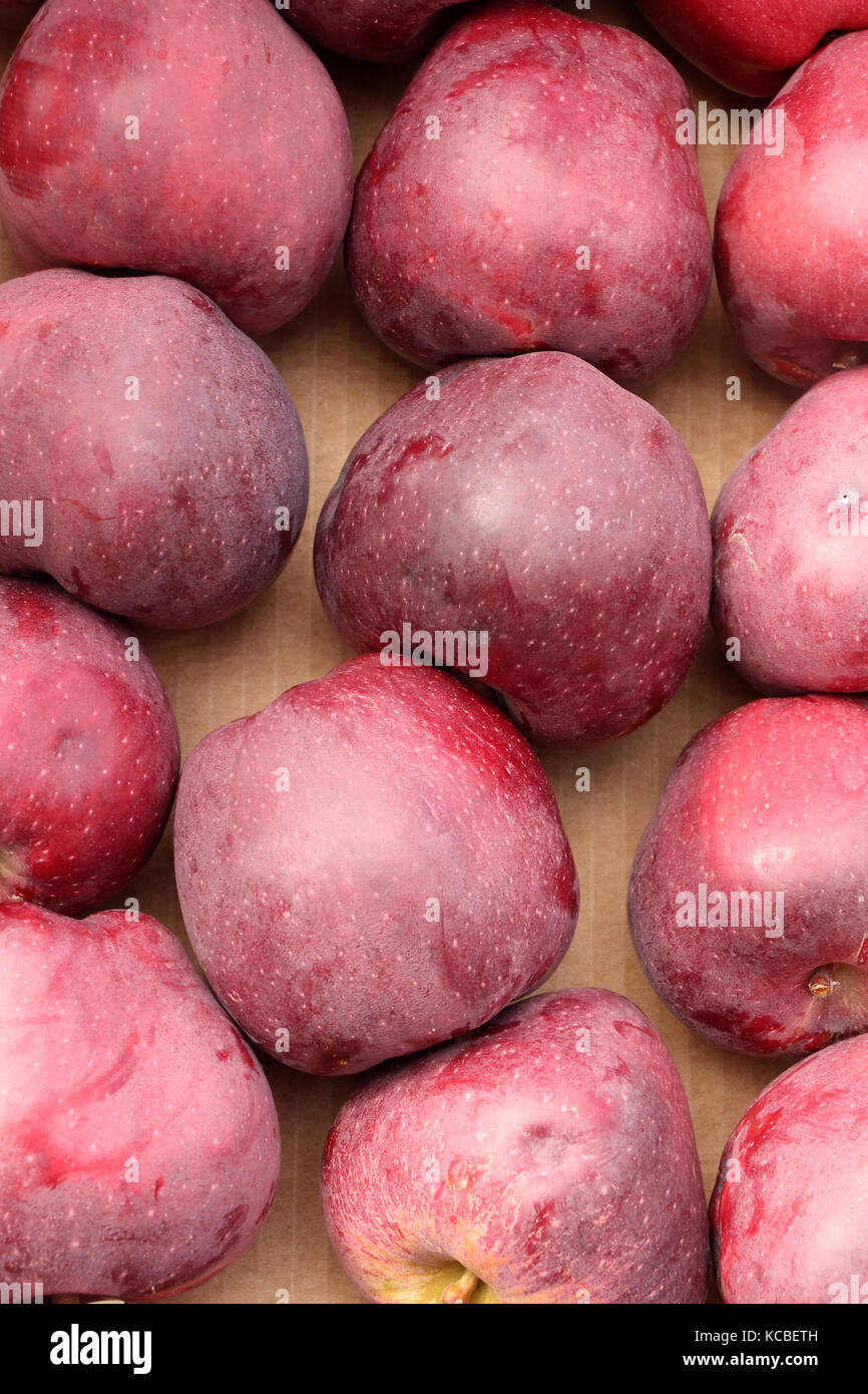 Red apple fruits for sale,image of a Stock Photo - Alamy