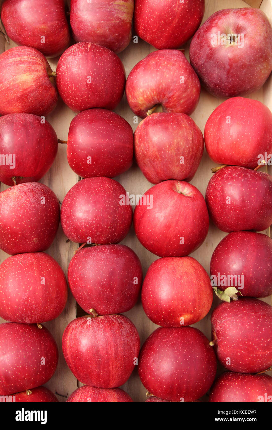 Red apple fruits for sale,image of a Stock Photo - Alamy