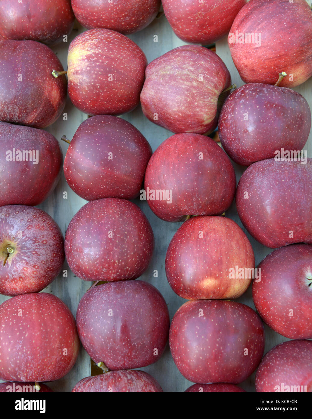 Red apple fruits for sale,image of a Stock Photo - Alamy