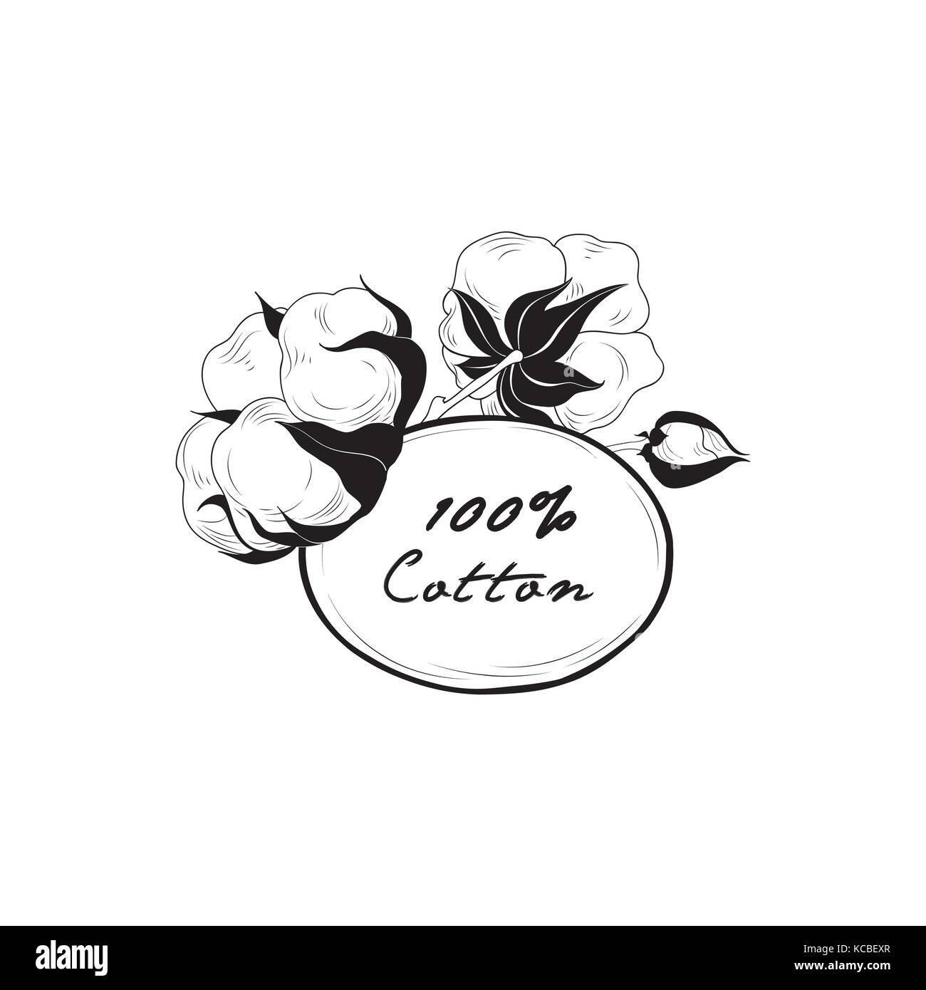 Cotton label. Natural material sign with flower cotton. Hand drawn ...