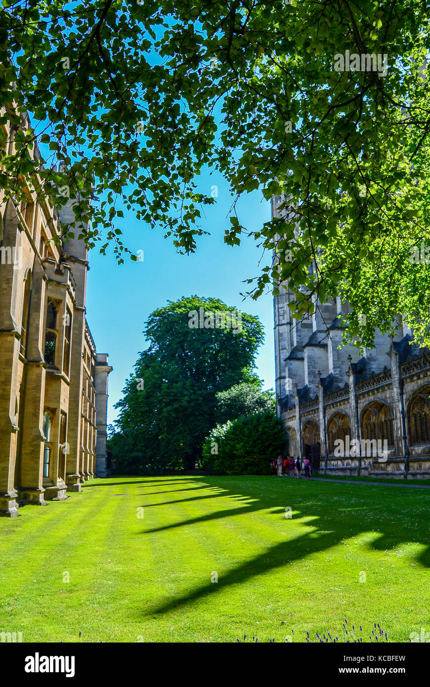 Grounds of Kings college Cambridge Stock Photo - Alamy