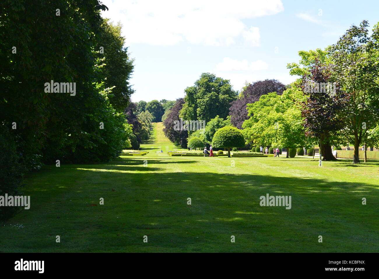 English country landscape in summer Stock Photo - Alamy