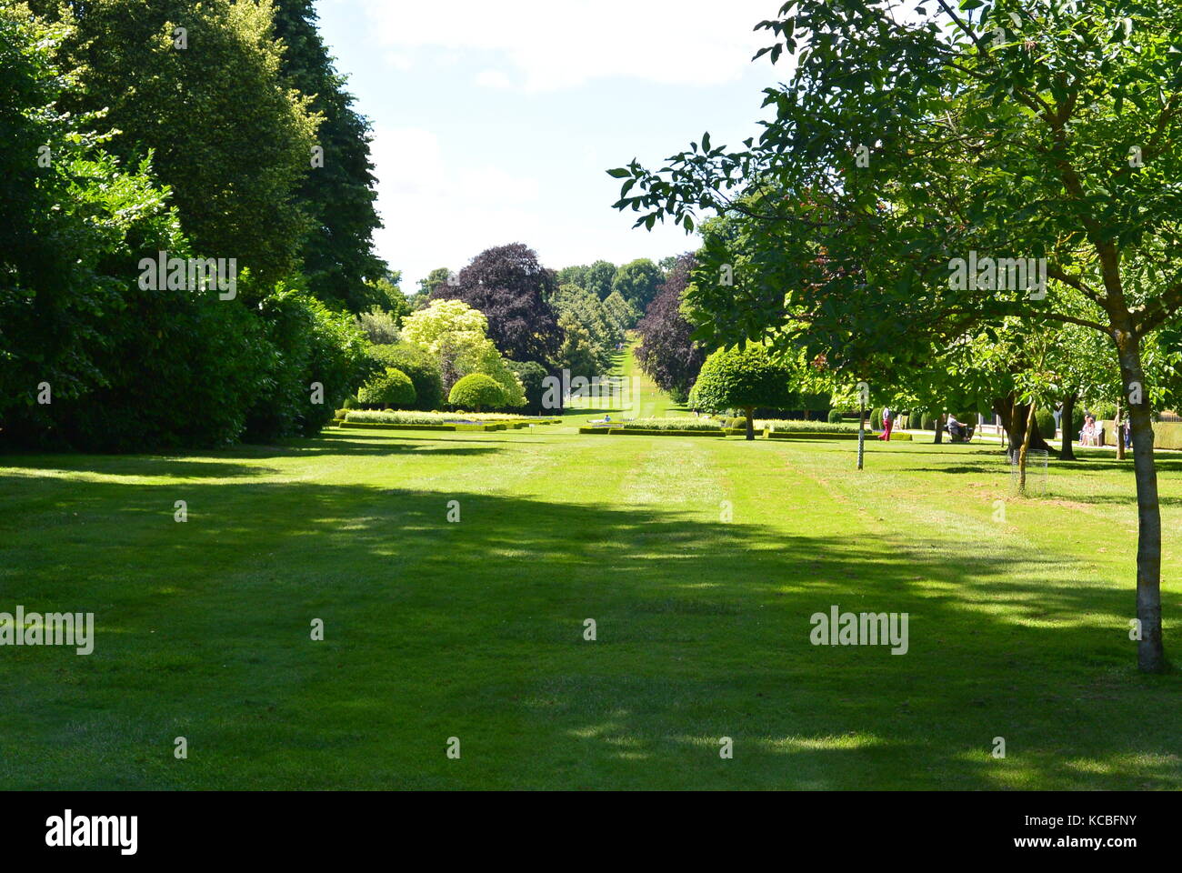 English country landscape in summer Stock Photo - Alamy