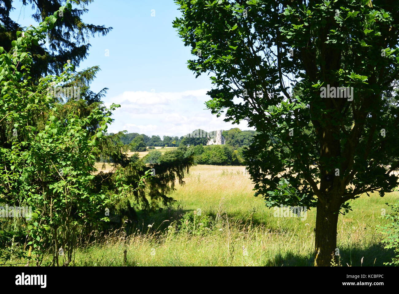 English country landscape in summer Stock Photo - Alamy