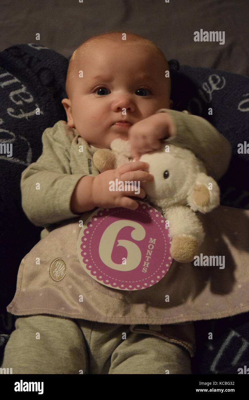 Six month old baby Stock Photo - Alamy