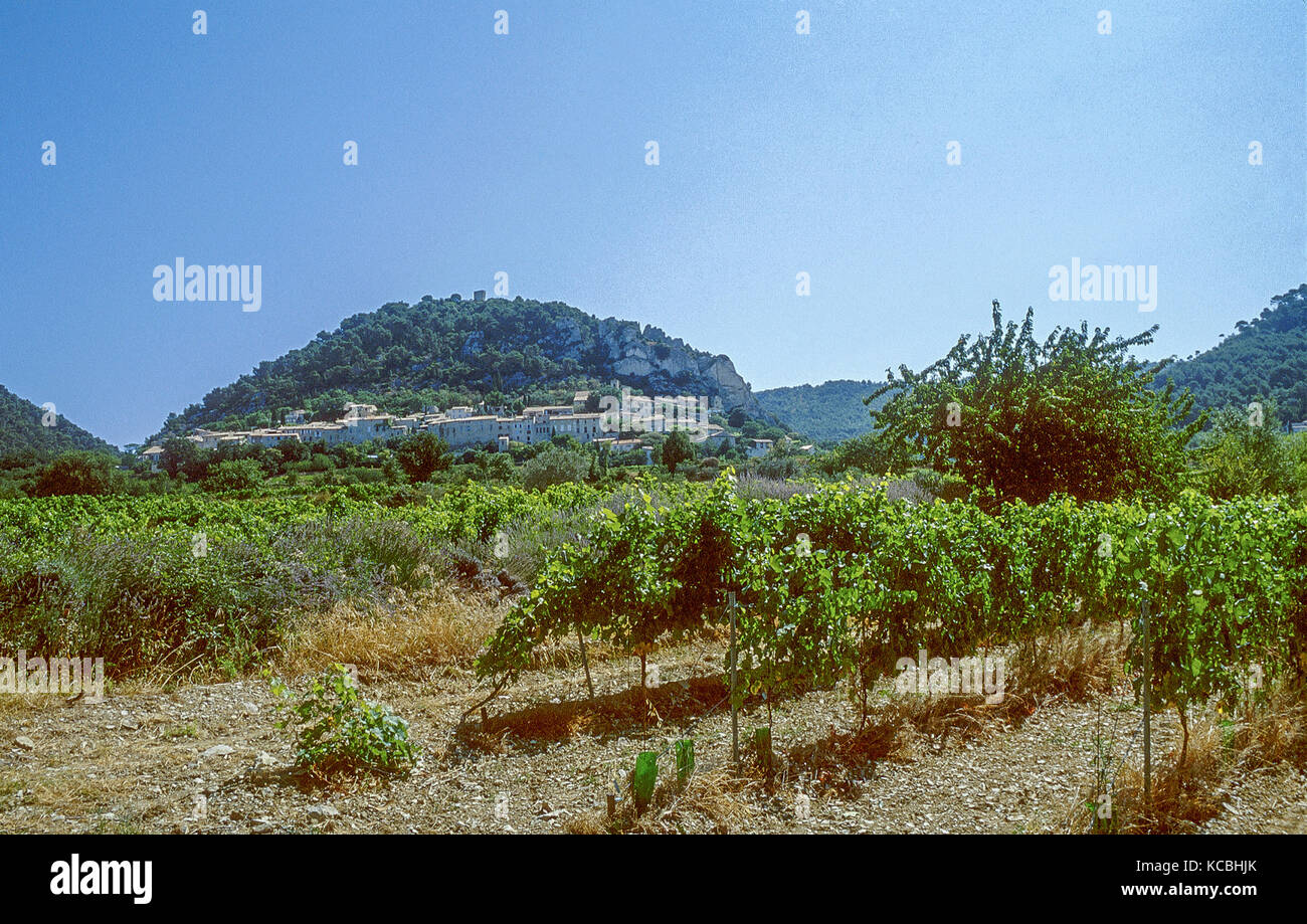 Seguret vineyard provence hi-res stock photography and images - Alamy