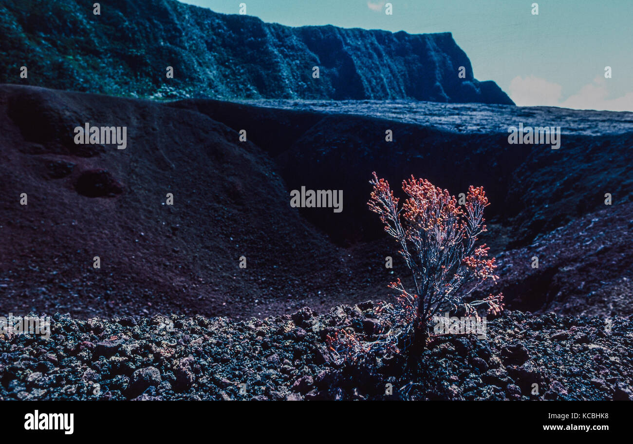 Volcan la fournaise hi-res stock photography and images - Alamy