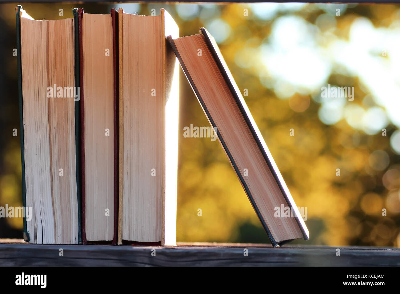 autumn book stack wooden outdoor Stock Photo - Alamy