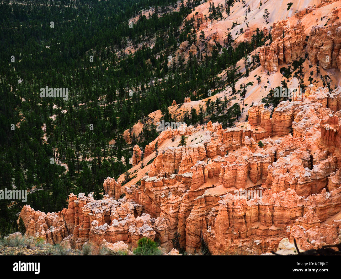 Colleens captures hi-res stock photography and images - Alamy