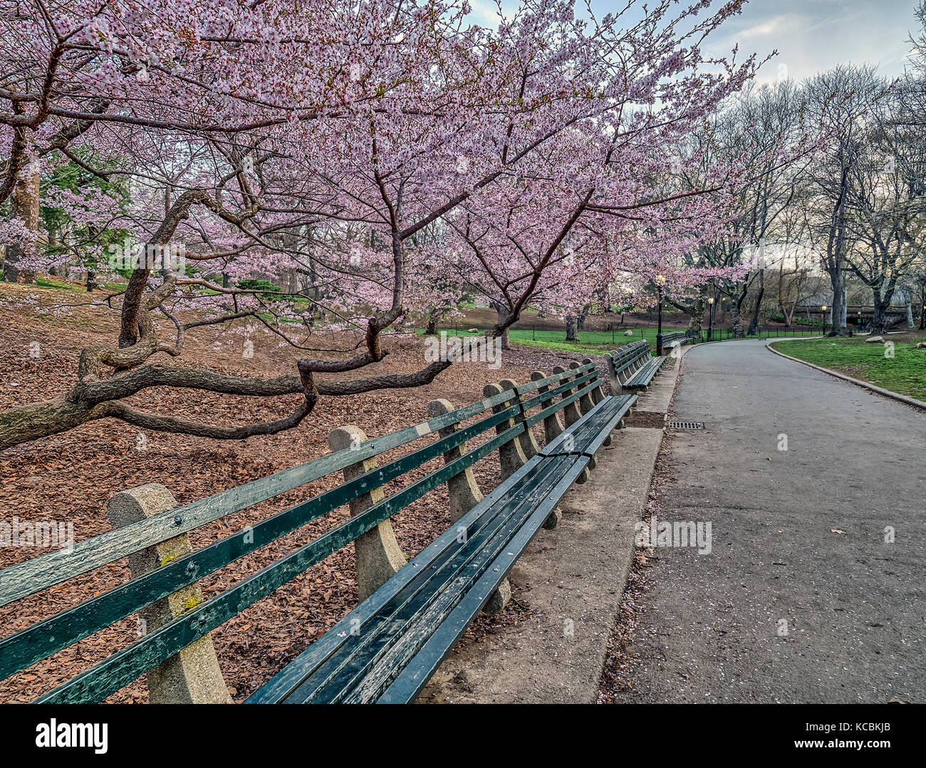 Central Park, New York City in early spring Stock Photo - Alamy