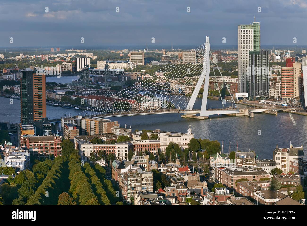 Rotterdam panoramic view Stock Photo - Alamy
