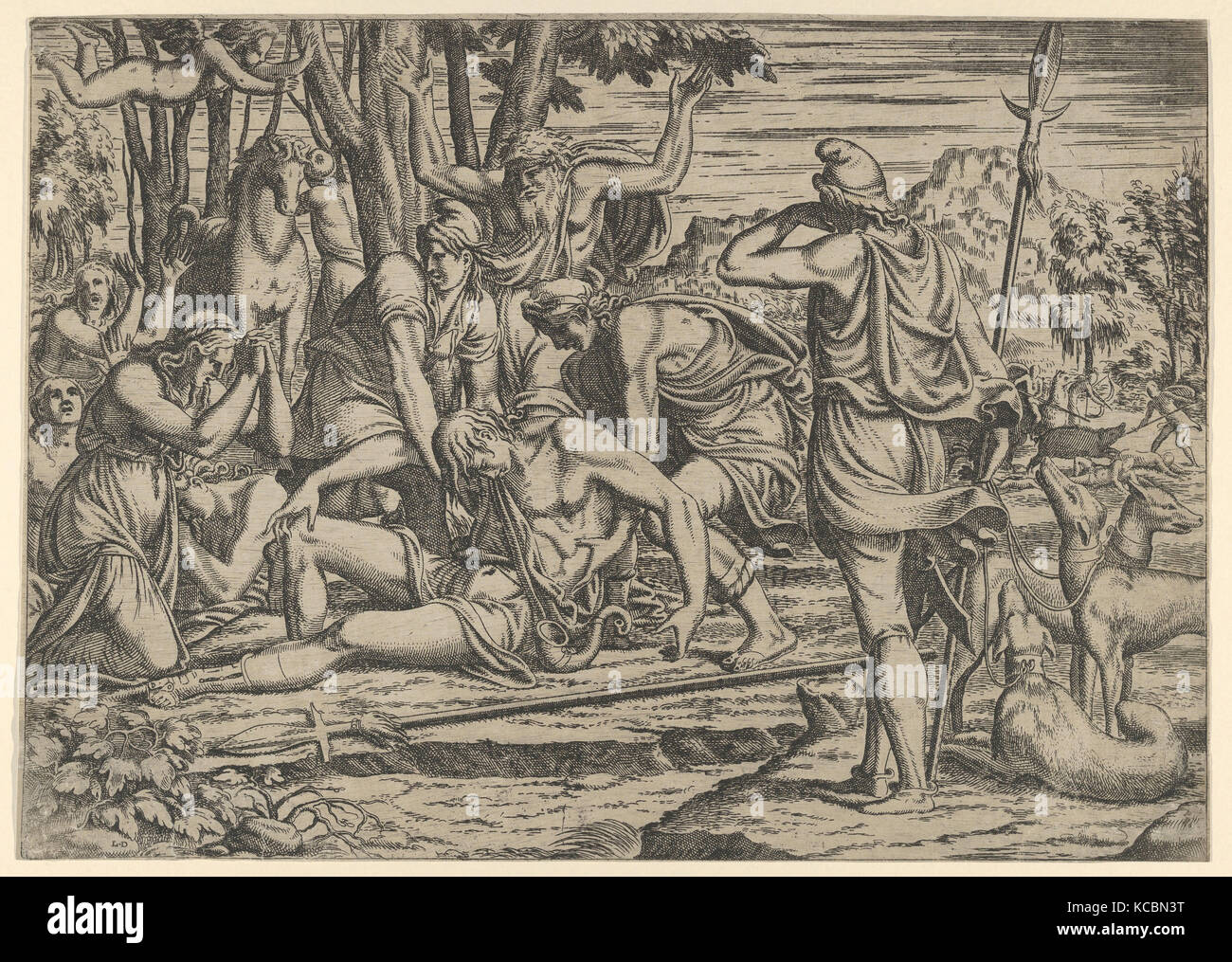 Death of Adonis, 1540–56, Etching, Sheet (trimmed): 10 15/16 × 15 9/16 ...