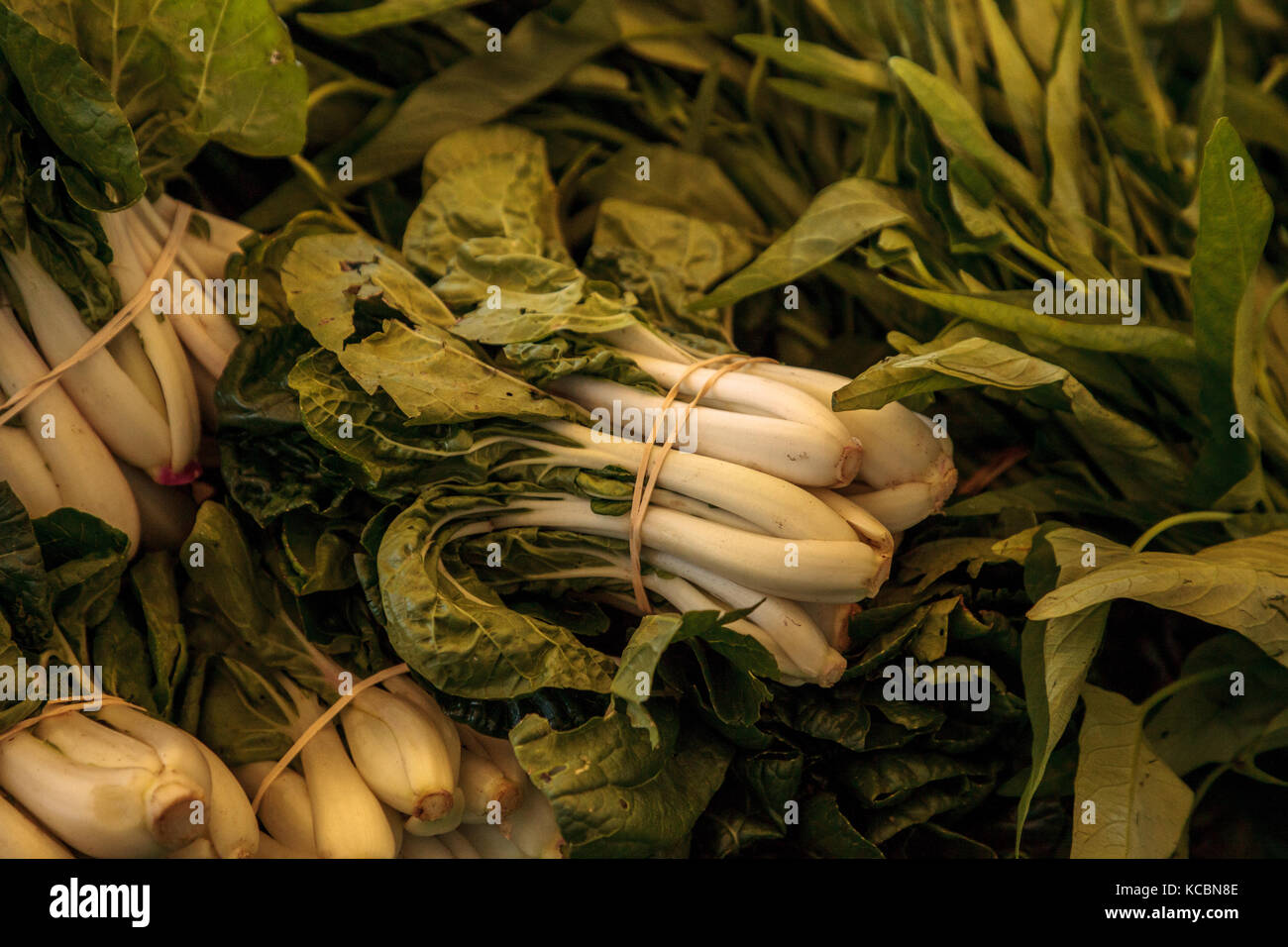 Organic green Chinese bok choy on a rustic wood farm table Stock Photo ...