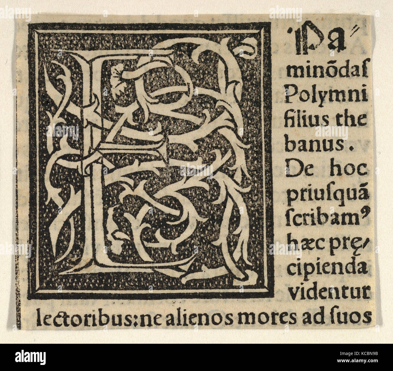 Drawings and Prints, Print, Initial letter E on patterned background ...