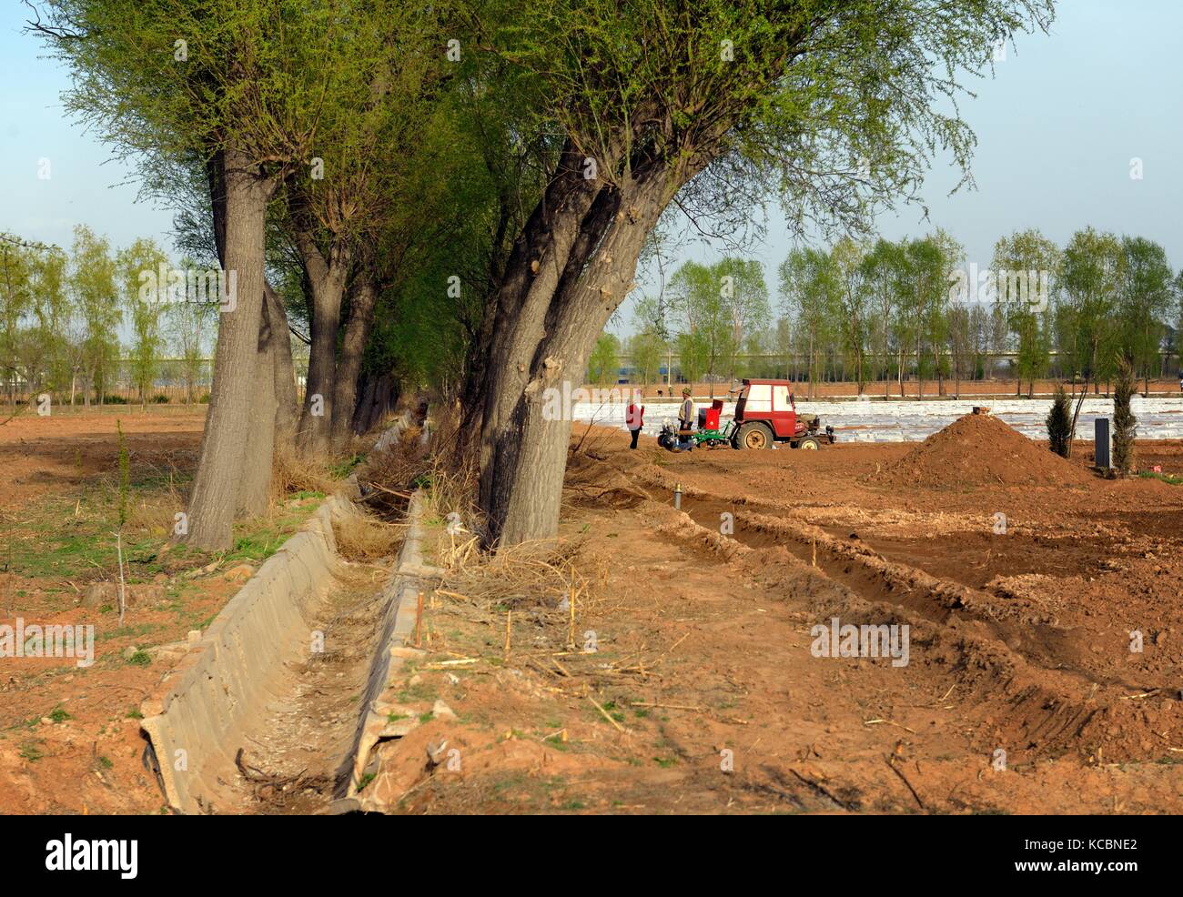 Chinese tractor hi-res stock photography and images - Alamy