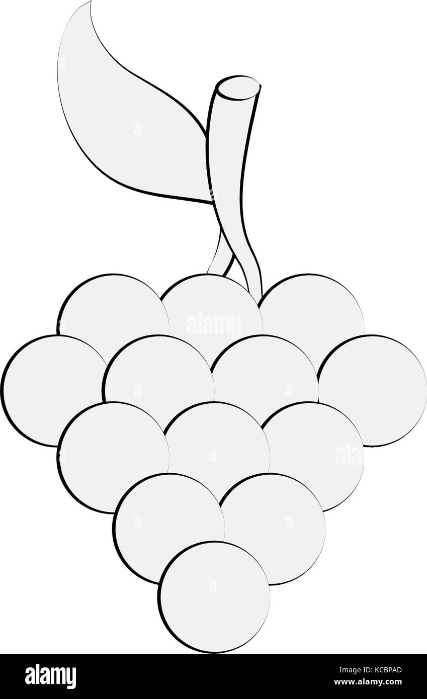 Delicious grapes fruit Stock Vector Image & Art - Alamy