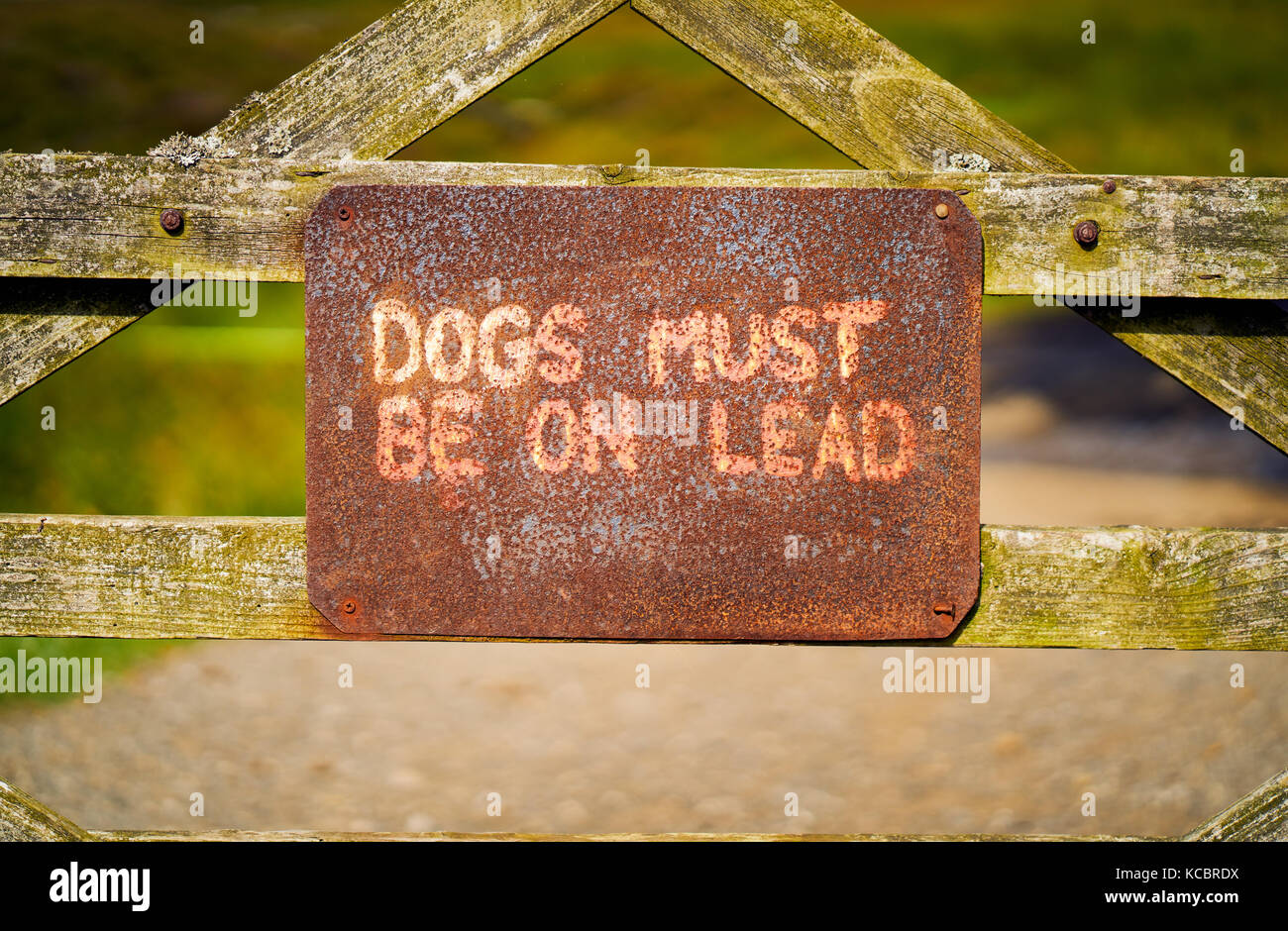 A sign warning that dogs must be kept on a dog lead to protect wildlife ...