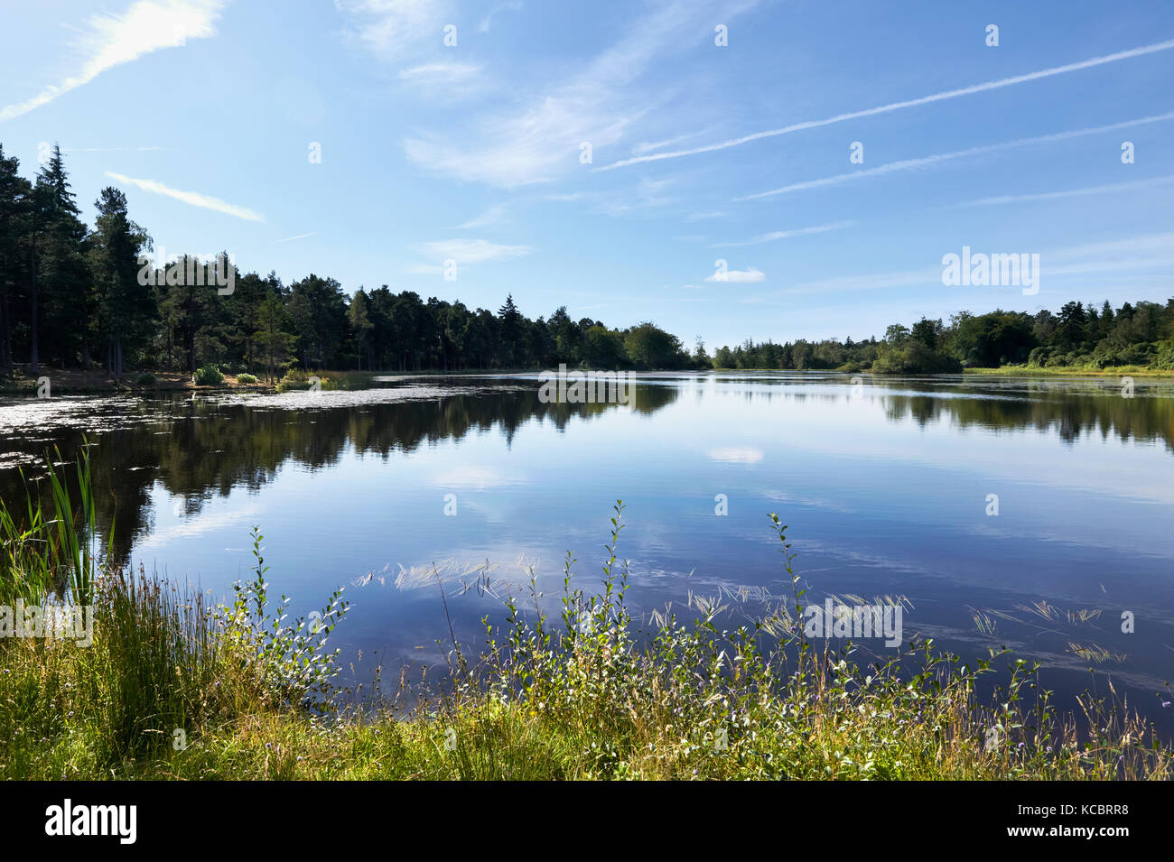 A fresh water lake on a bright sunny day in the English Countryside ...