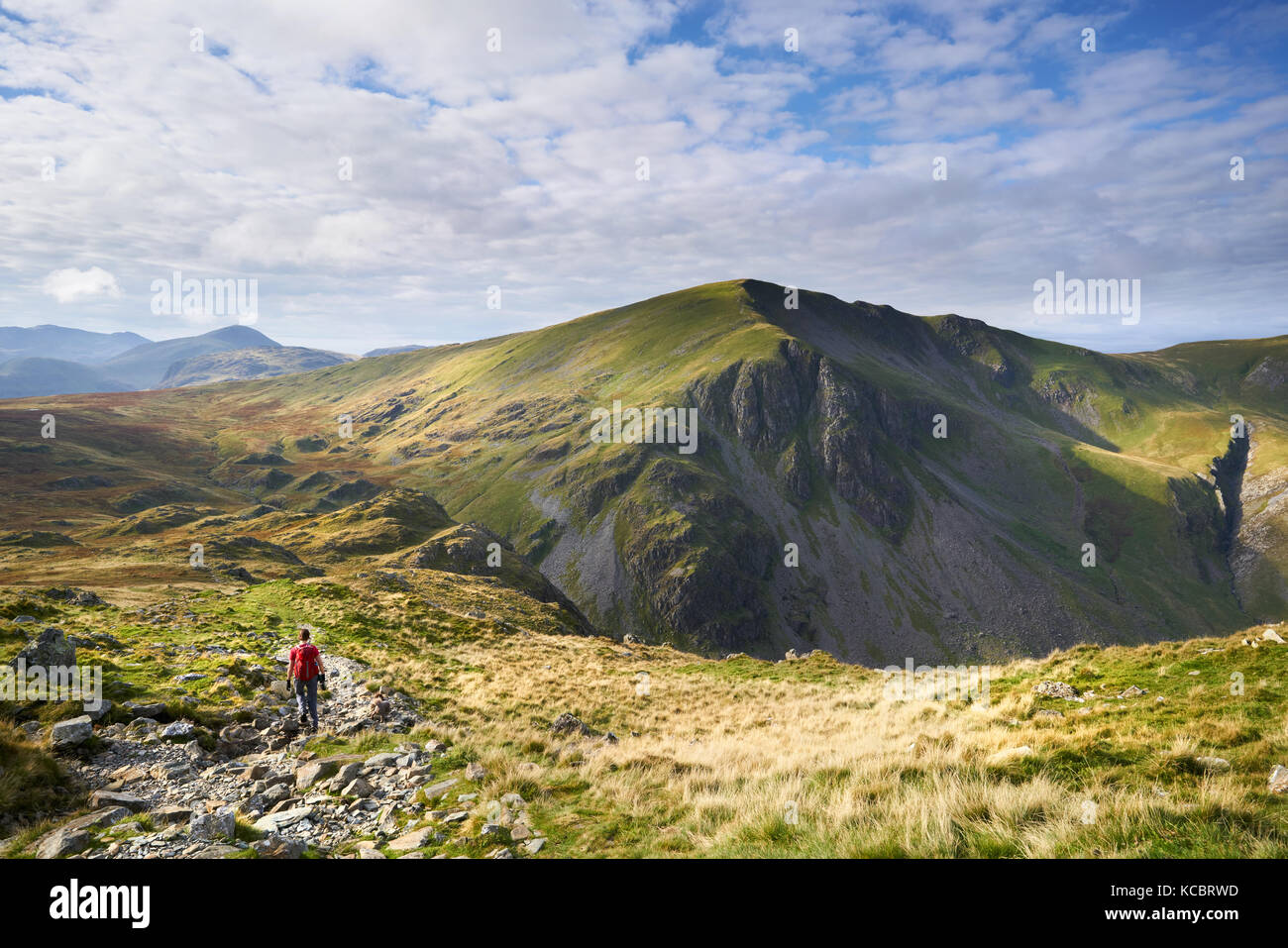A hiker descending from High Spy towards the summit of Dale Head in the ...